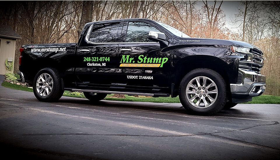 Tree Stump Removal Services | Mr Stump Grinding Michigan