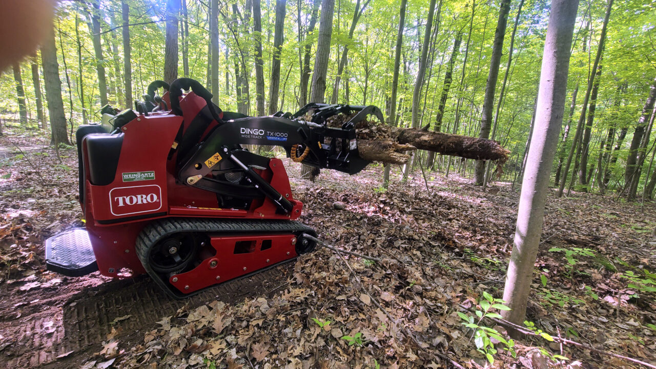 FAQ - Tree Stump Removal Services